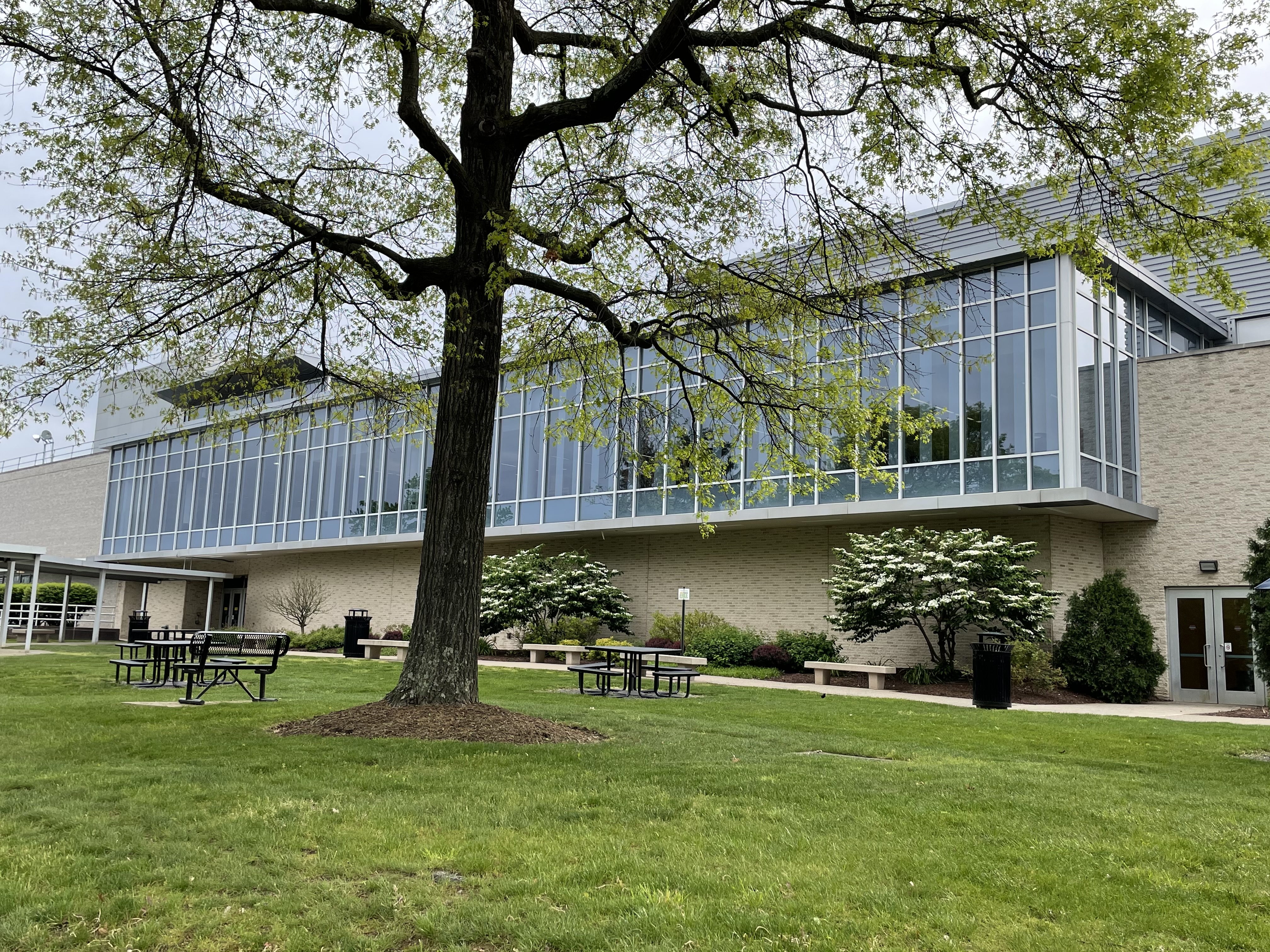 Continuing Education | School of Dentistry | West Virginia University